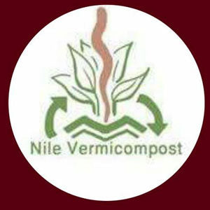 Nile Vermicompost - Vermiculture project in Egypt - Midwest Worms